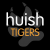 Huish Tigers - Richard Huish College