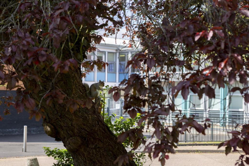 Terms & Holiday Dates - Richard Huish College