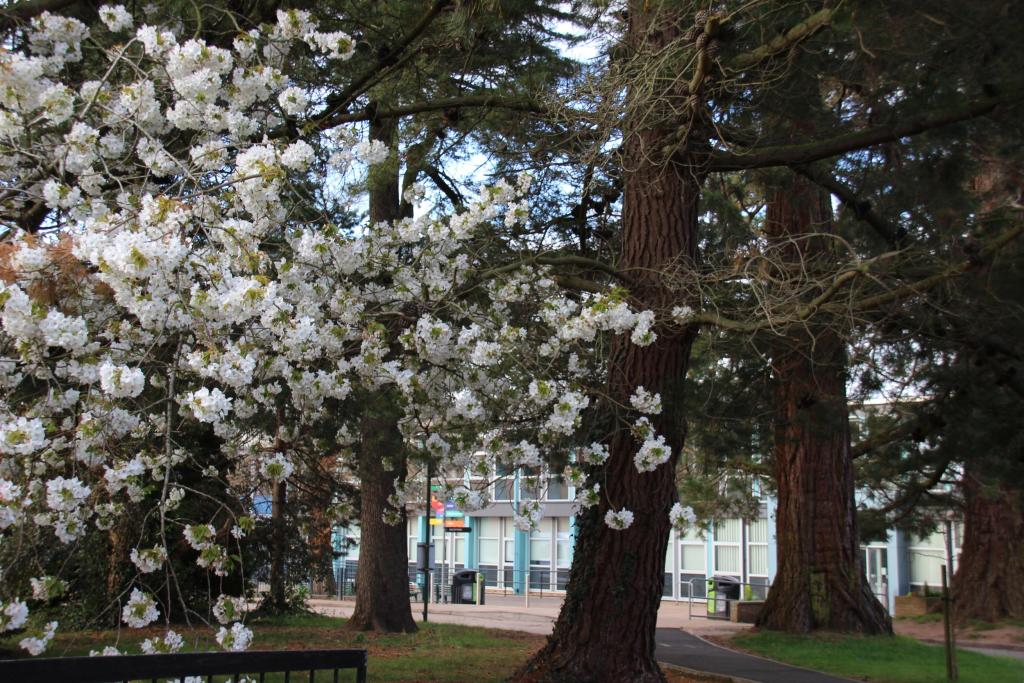 Events Archive - Richard Huish College